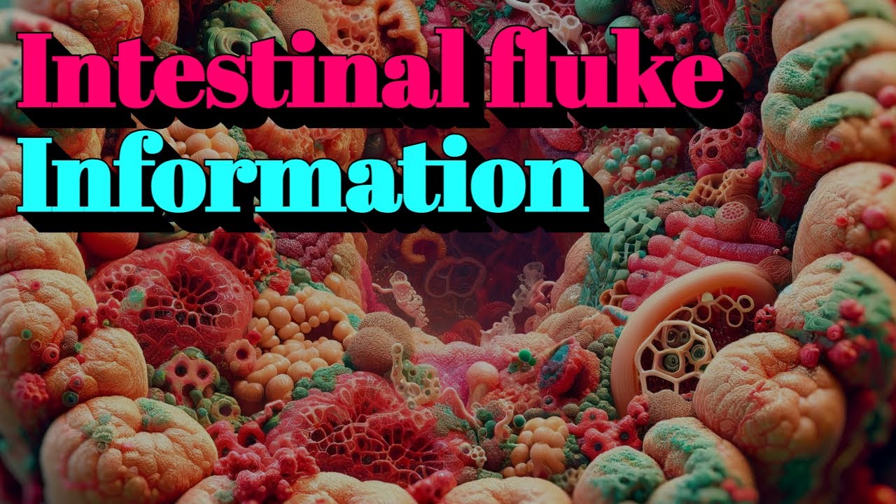 Intestinal fluke Information (🔬Tier.4 Infectious Disease) - YouTube