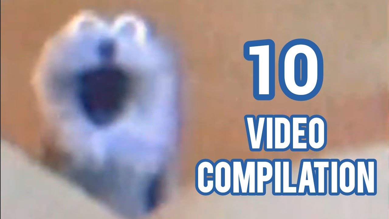 Screaming Blue Thing With Different Video And Sound Effect Compilation ...