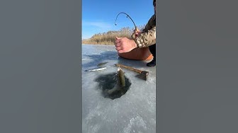 Зимняя рыбалка 😍