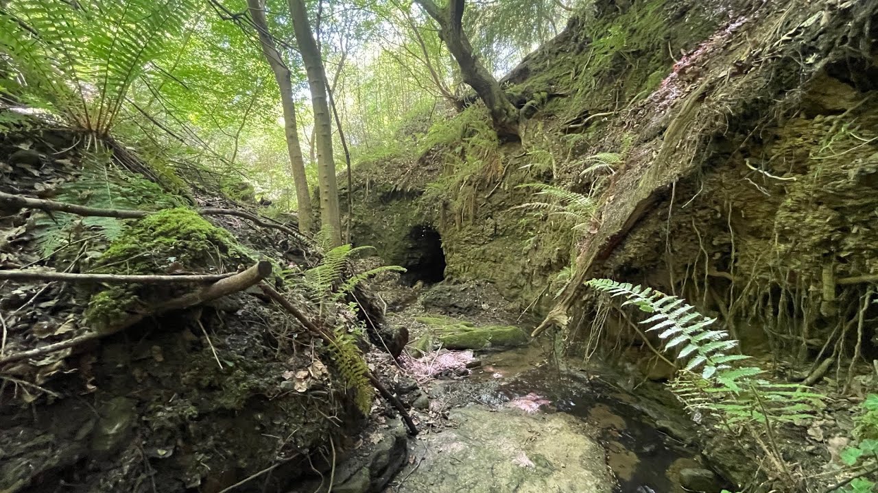 Grinkle mines, Easington , abandoned mines , North York moors - YouTube