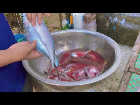 Buwad Pinikas, Pagkain namin sa Probinsya. #probinsyalife - YouTube