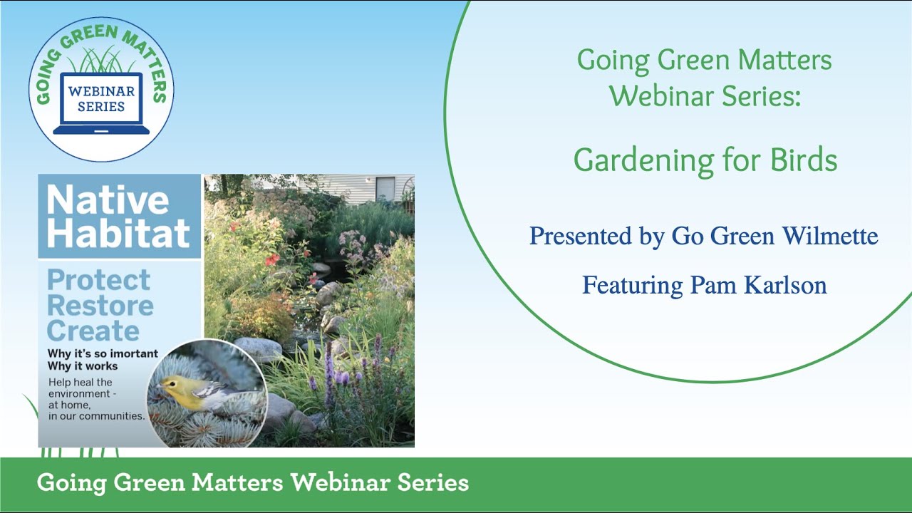 Gardening for Birds with Pam Karlson - YouTube