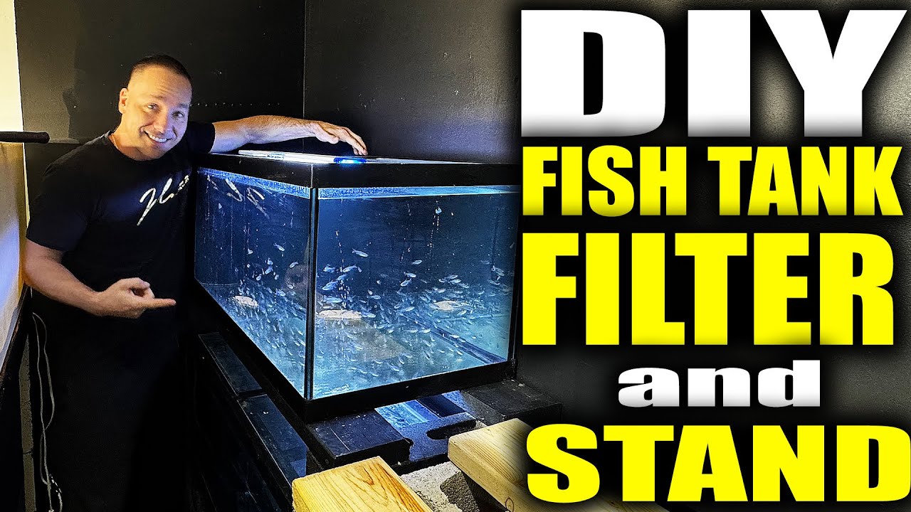How to build a complete aquarium filter and stand CHEAP - The king of ...