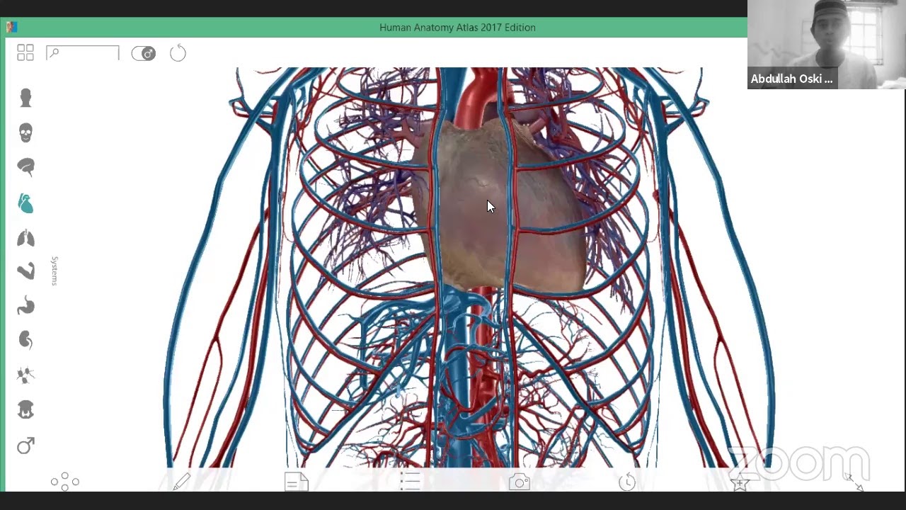 Kuliah Sistem Jantung dan Paru - YouTube