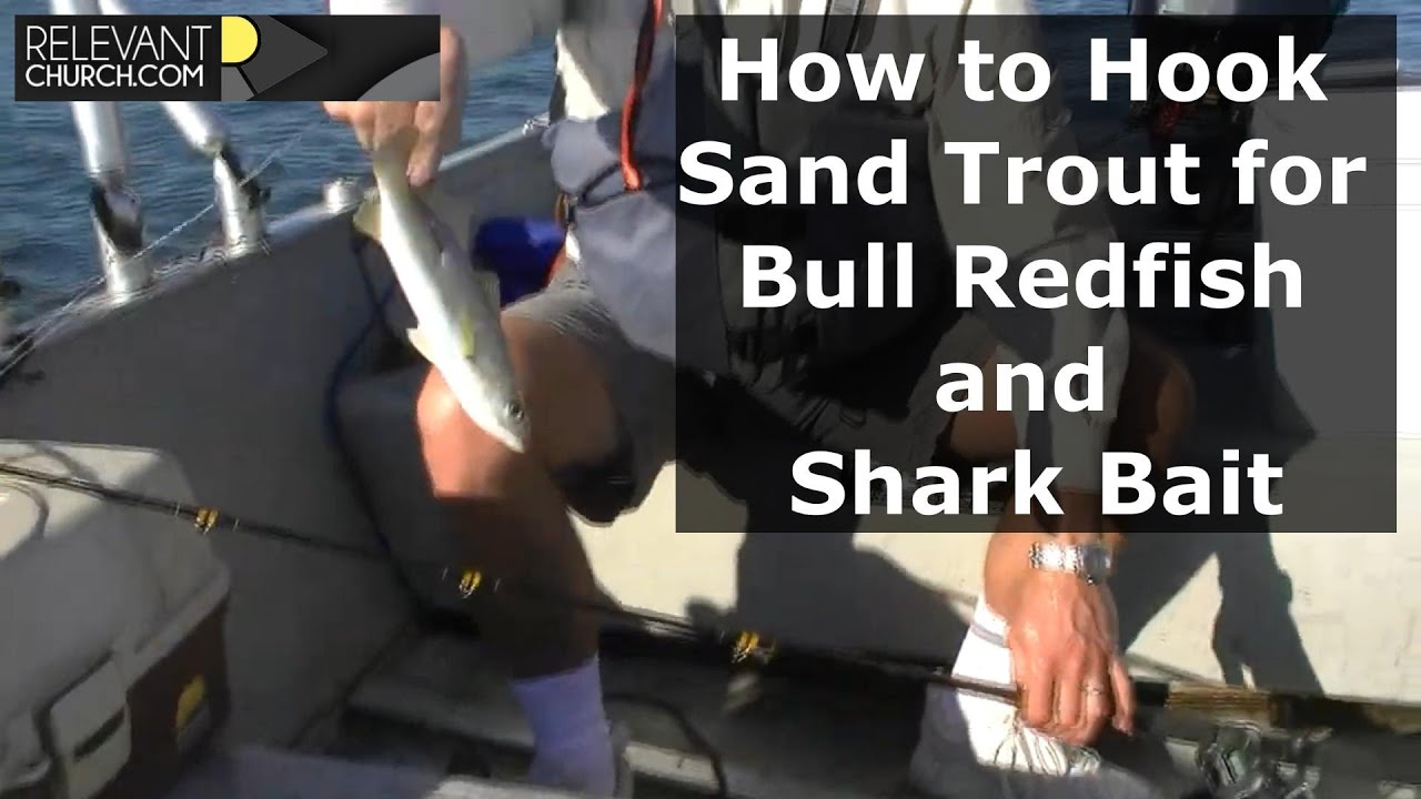 Salty 101- How to Hook Sand Trout for Bait for Sharks and Bull Redfish ...