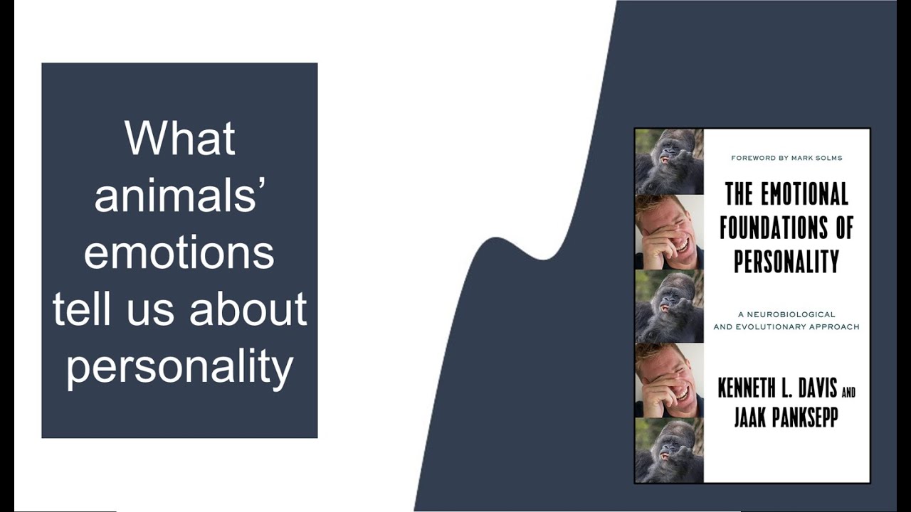Davis and Panksepp's "The Emotional Foundations of Personality" - book ...