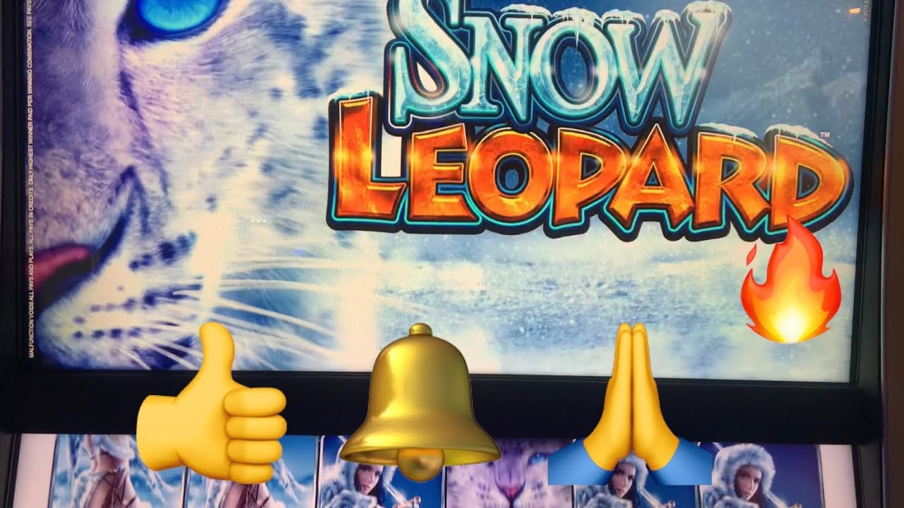 Snow Leopard slot machine 🔥line hit $1.20 bet - YouTube