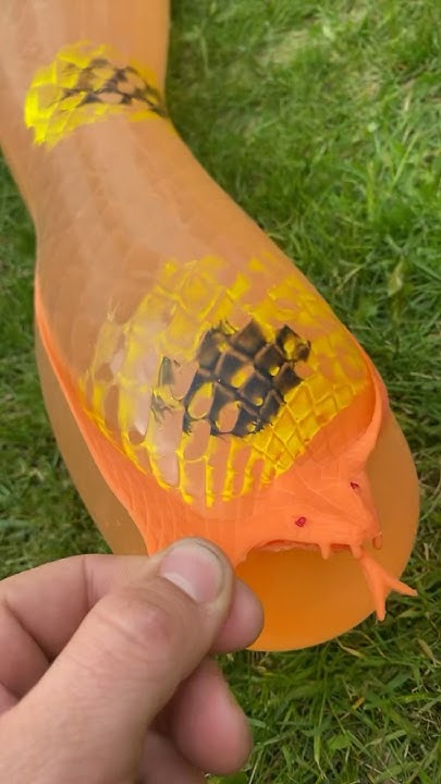 EXPLODING SNAKE 💥💦 #shorts - YouTube