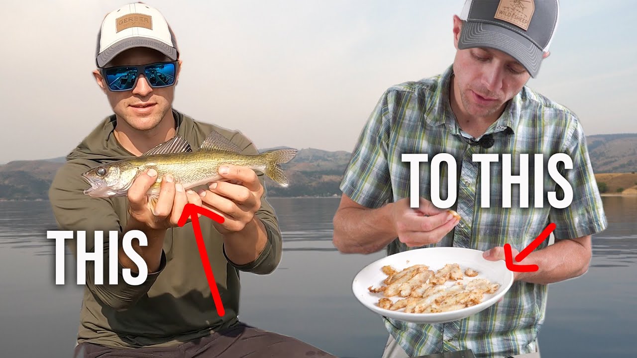 Walleye For Lunch! | Catch, Clean, Cook! - YouTube