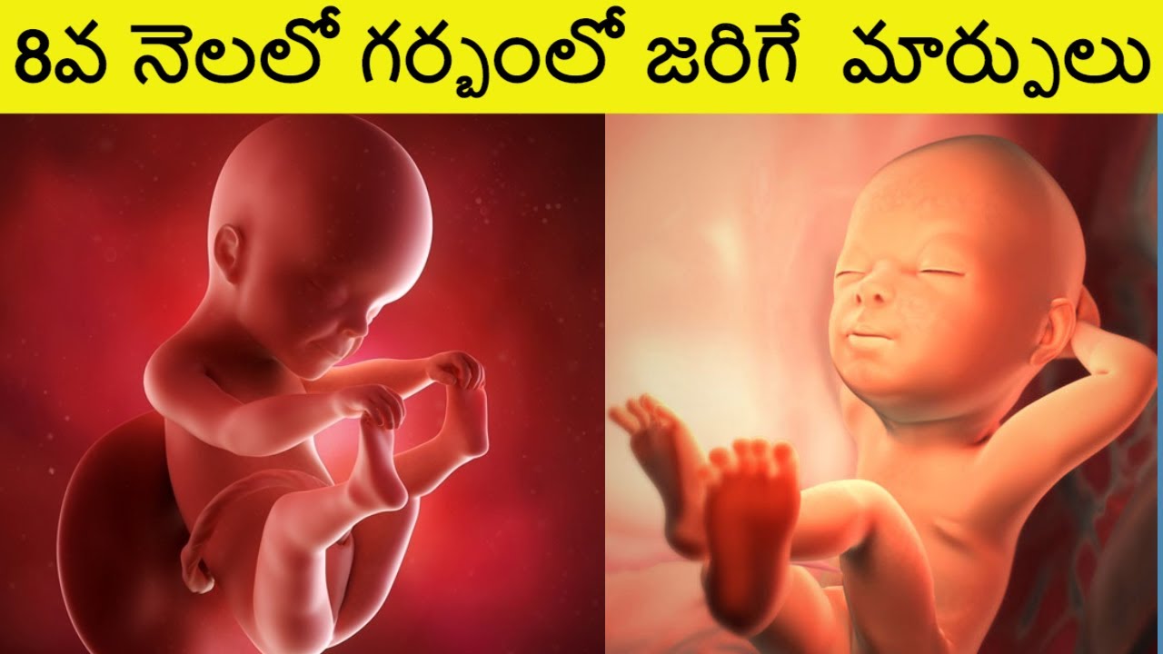 8th Month Of Pregnancy 8th-month-of-pregnancy