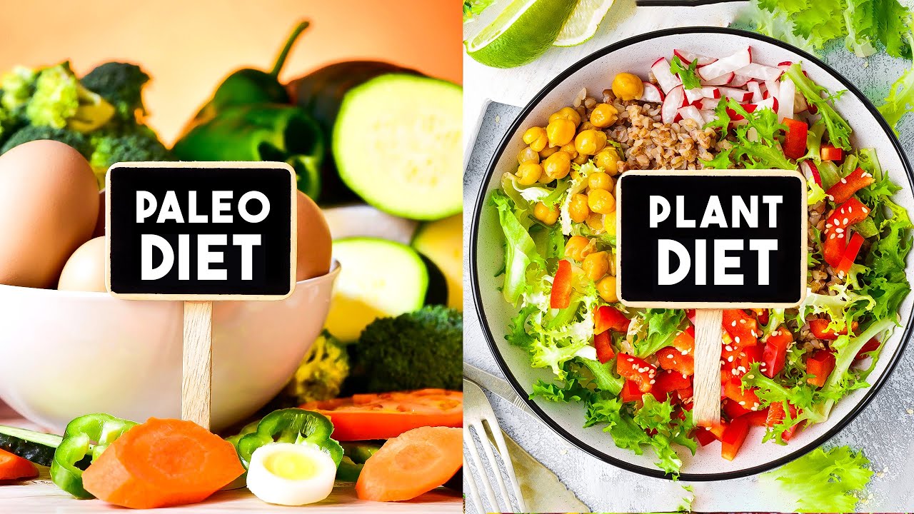Paleo vs Plant-Based: Which Diet Leads to Longer Life? - YouTube