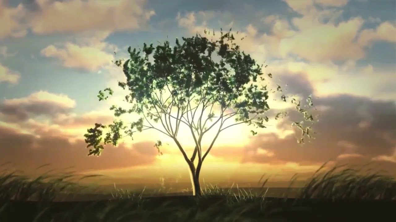 Practical class with Mampi Barman - YouTube