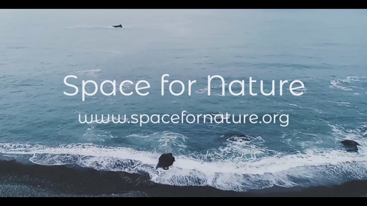 SPACE FOR NATURE is born - YouTube