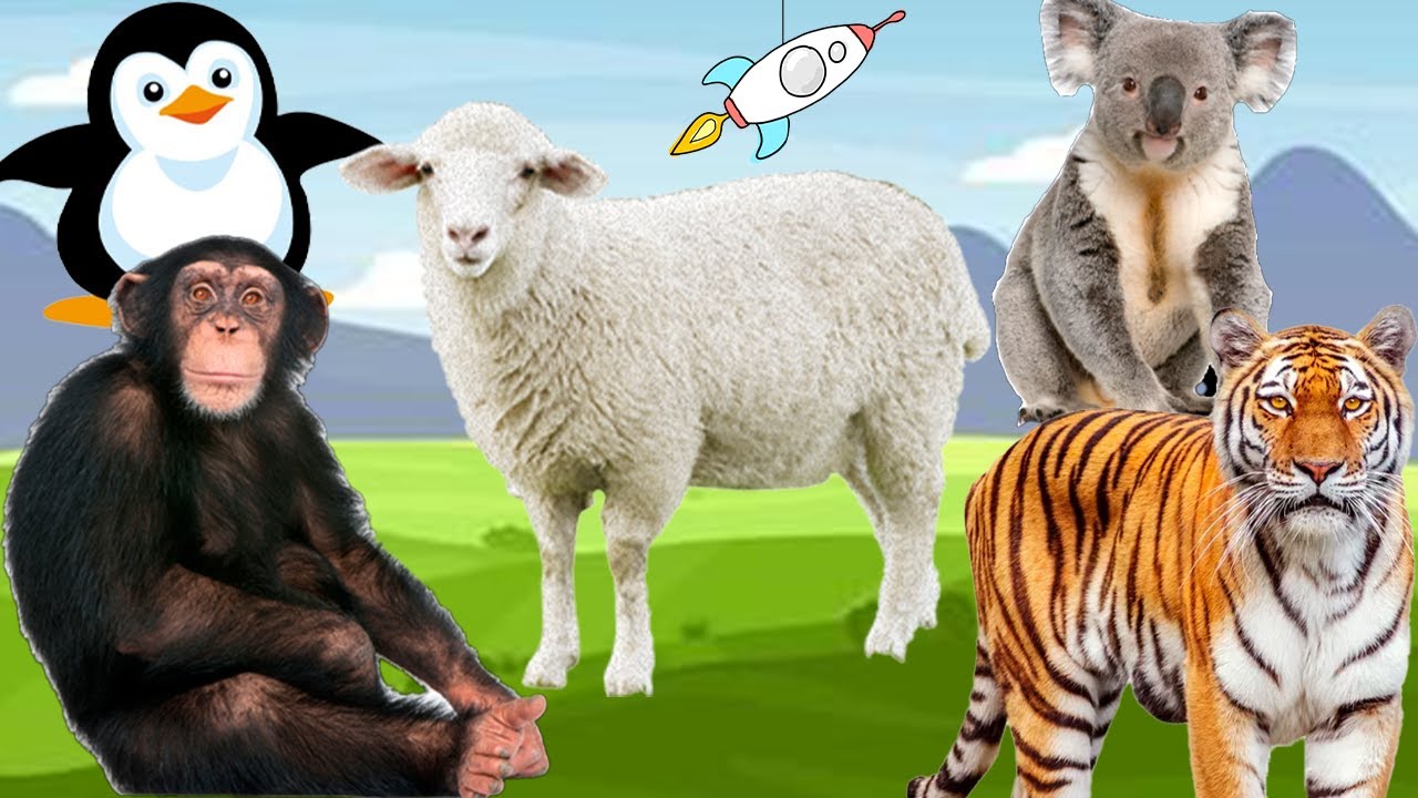 Learn the fun of animals: elephant, duck, dog, horse, pig - animal ...