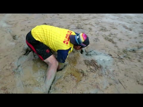Unik tangkap belut sawah dengan tangan kosong - YouTube