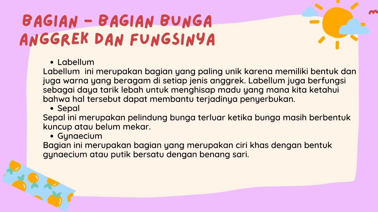 BAGIAN BAGIAN BUNGA ANGGREK - YouTube