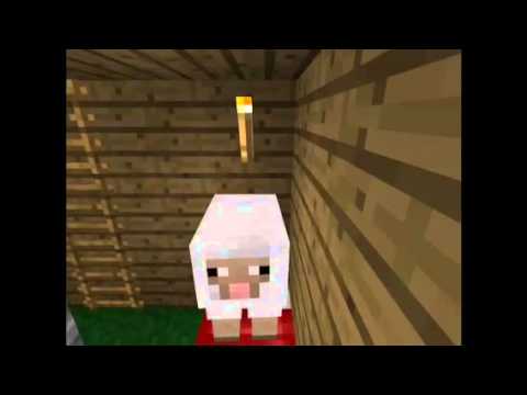 Channel Special! - Lambie The Sheep! - YouTube