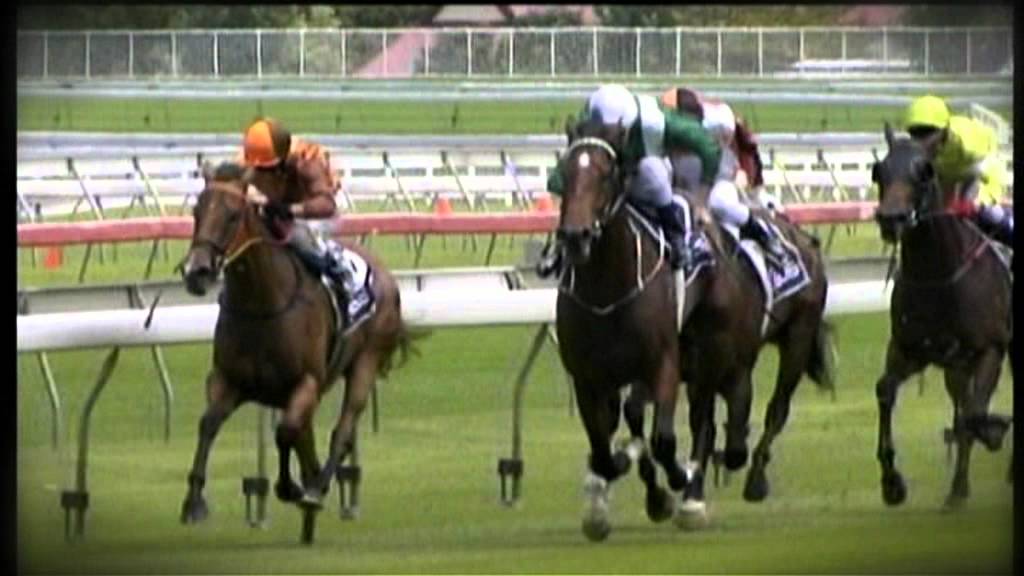 Mutawaajid - Redoute's Choice x Elated Lady (Vain) - YouTube