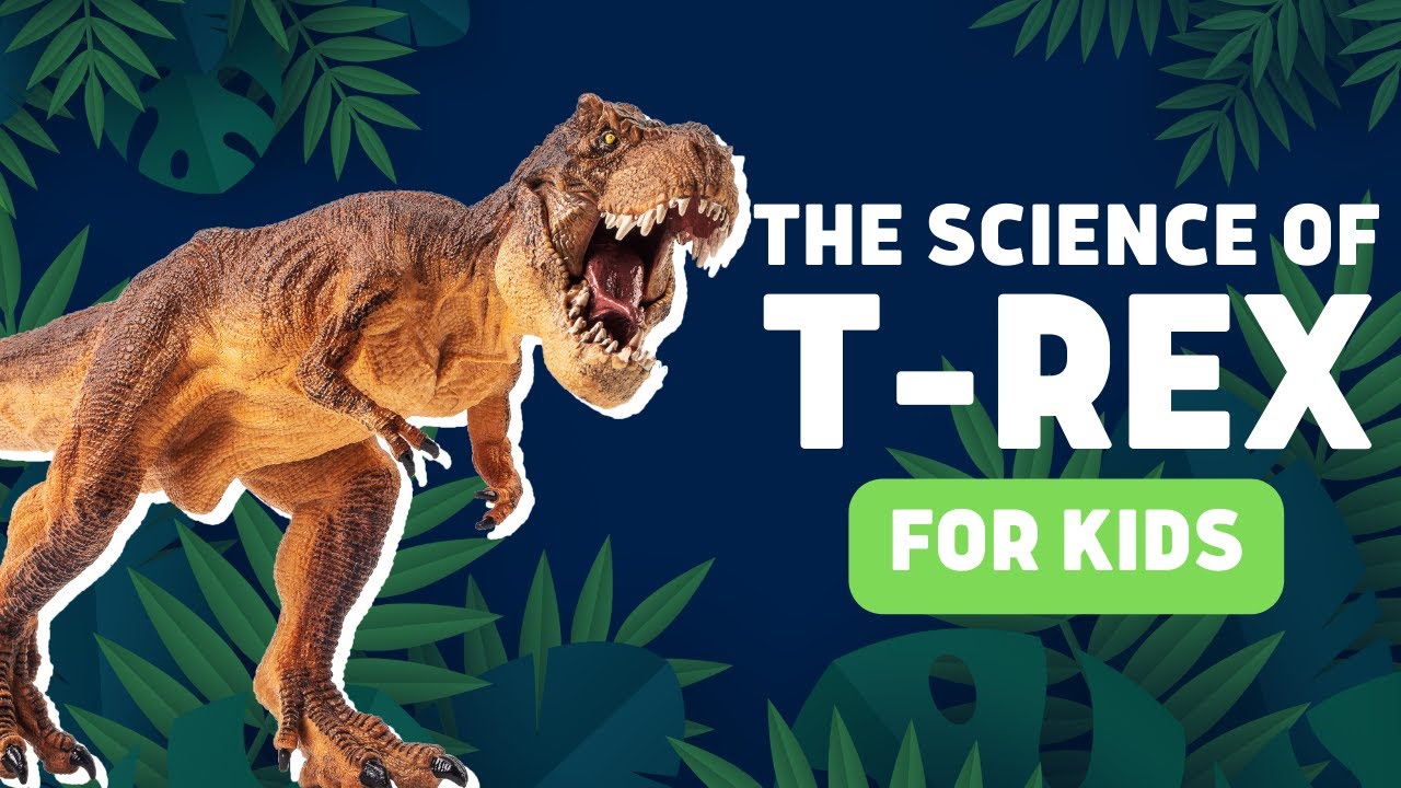 The Amazing World of T-Rex dinosaurs | Little Lab | Educational Videos ...