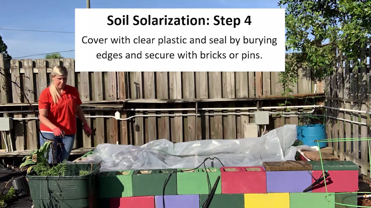 Soil Solarization in the Home Garden - YouTube