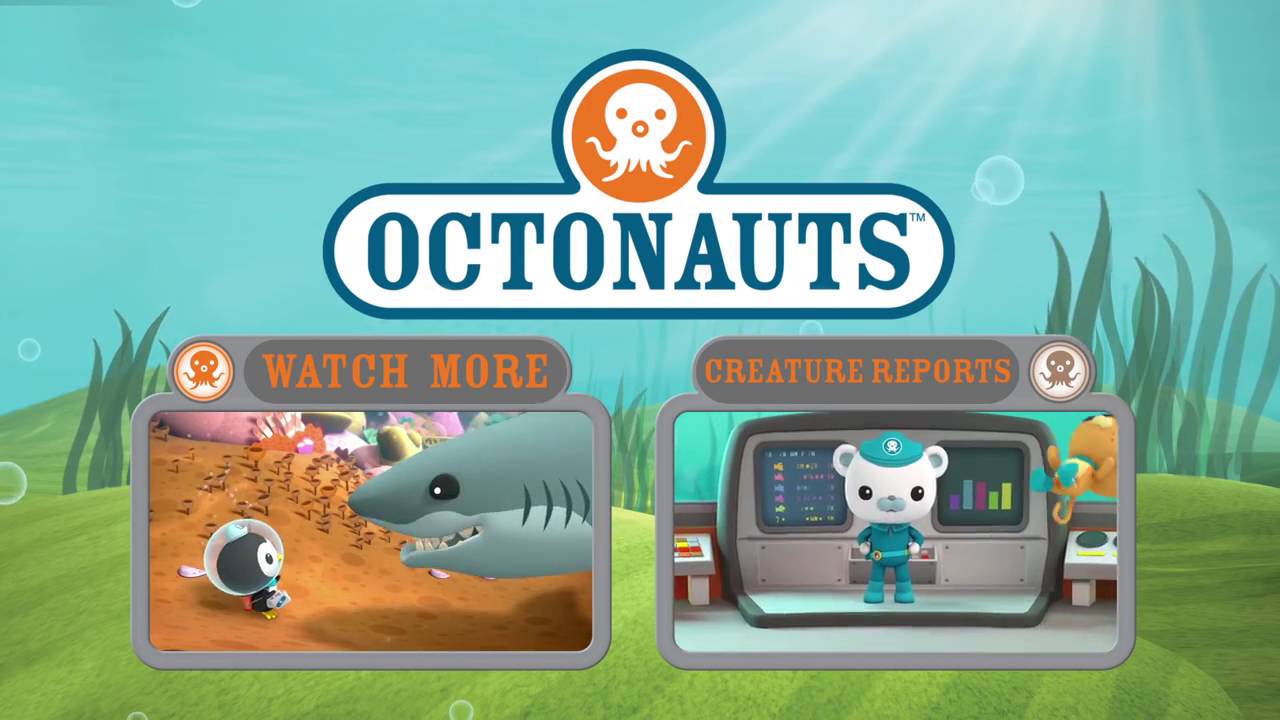 Octonauts: Creature Reports - Walrus - YouTube