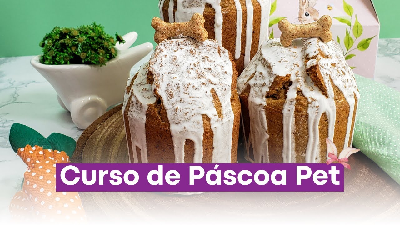 Curso de Páscoa Pet | Ovo de páscoa para cachorro | Ovo de páscoa pet ...