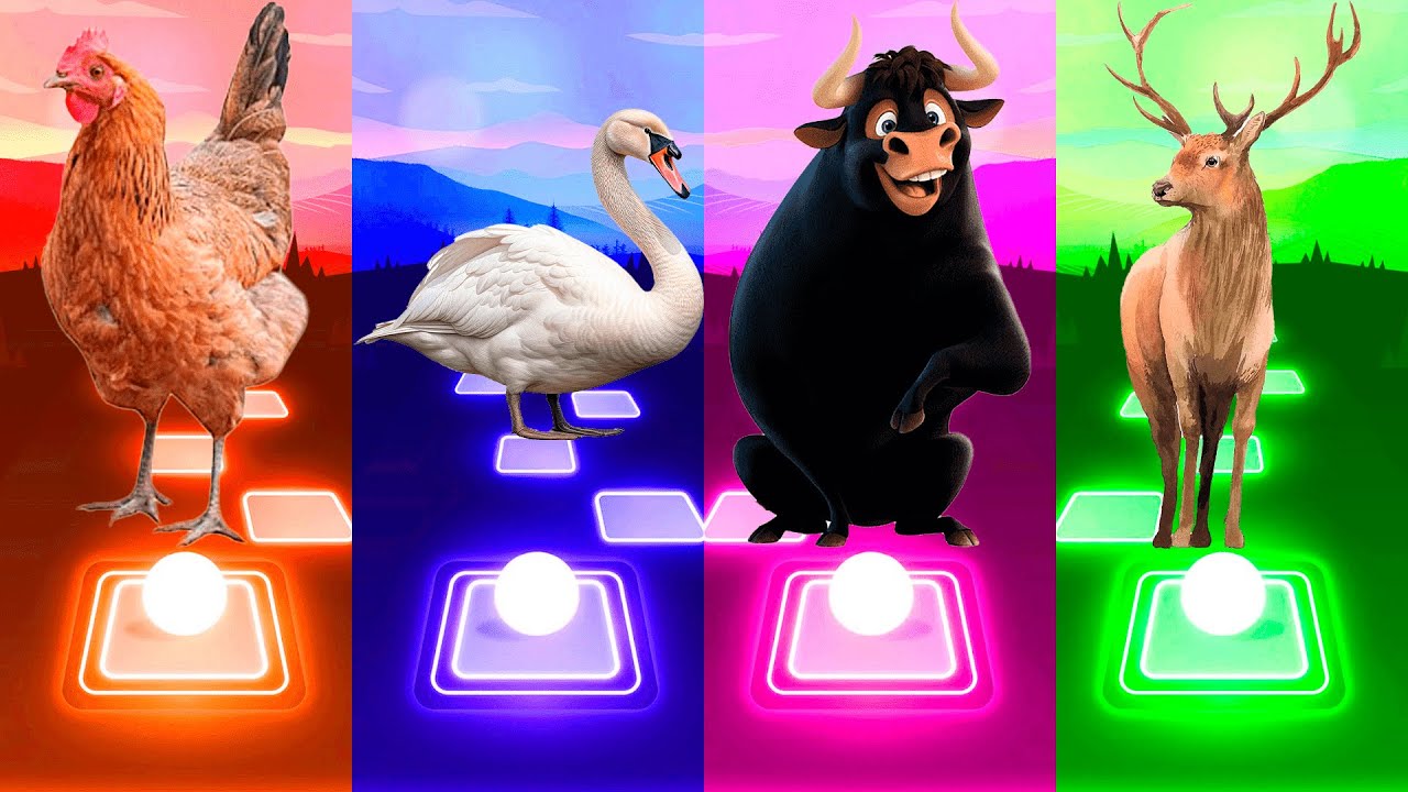 Funny Chicken vs Funny Swans vs Funny Ferdinand vs Funny Reindeers ...