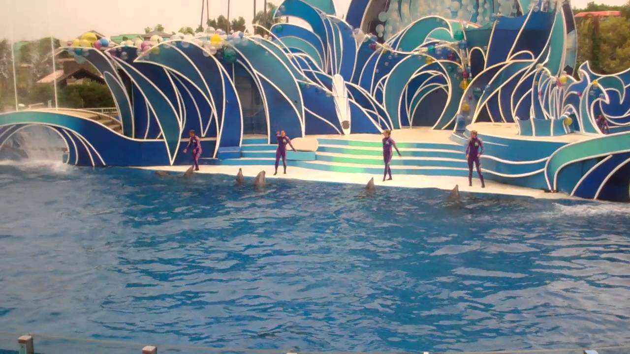 2015 08 25 MoJo at Sea World Dolphin Show, Part 1 - YouTube