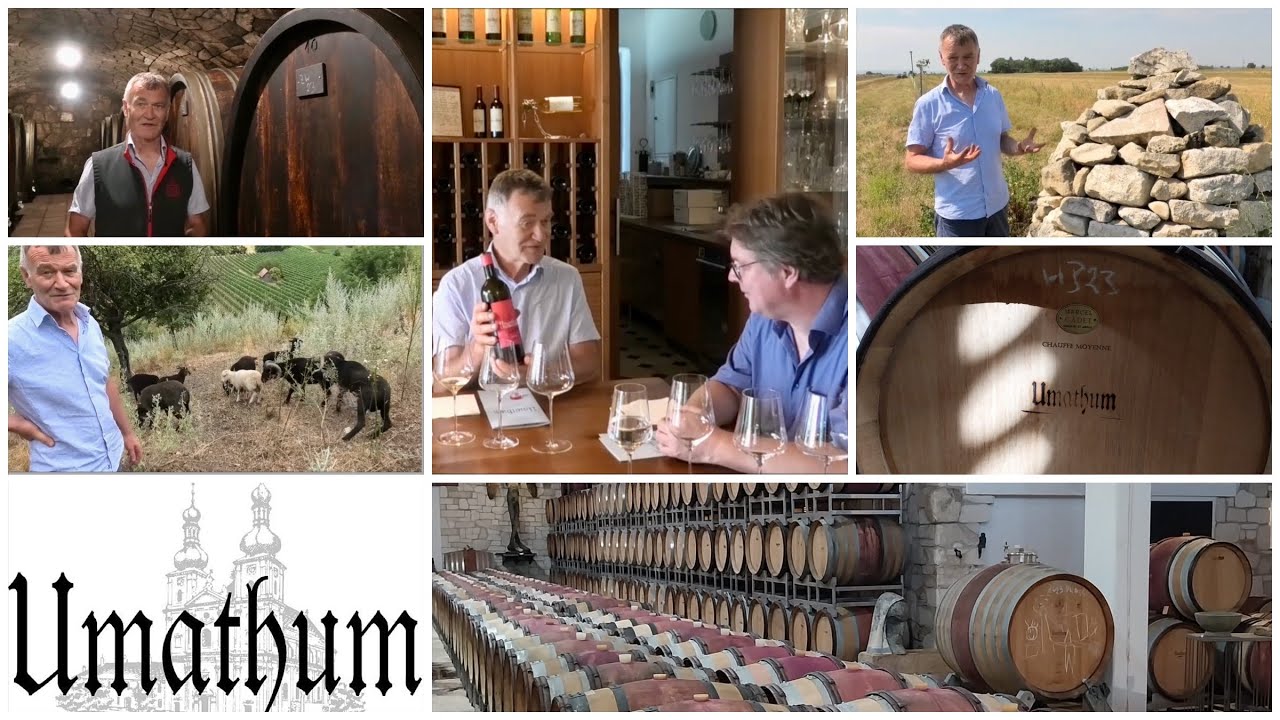 Folge 1242 On Tour - Zu Besuch beim Weingut Umathum - YouTube