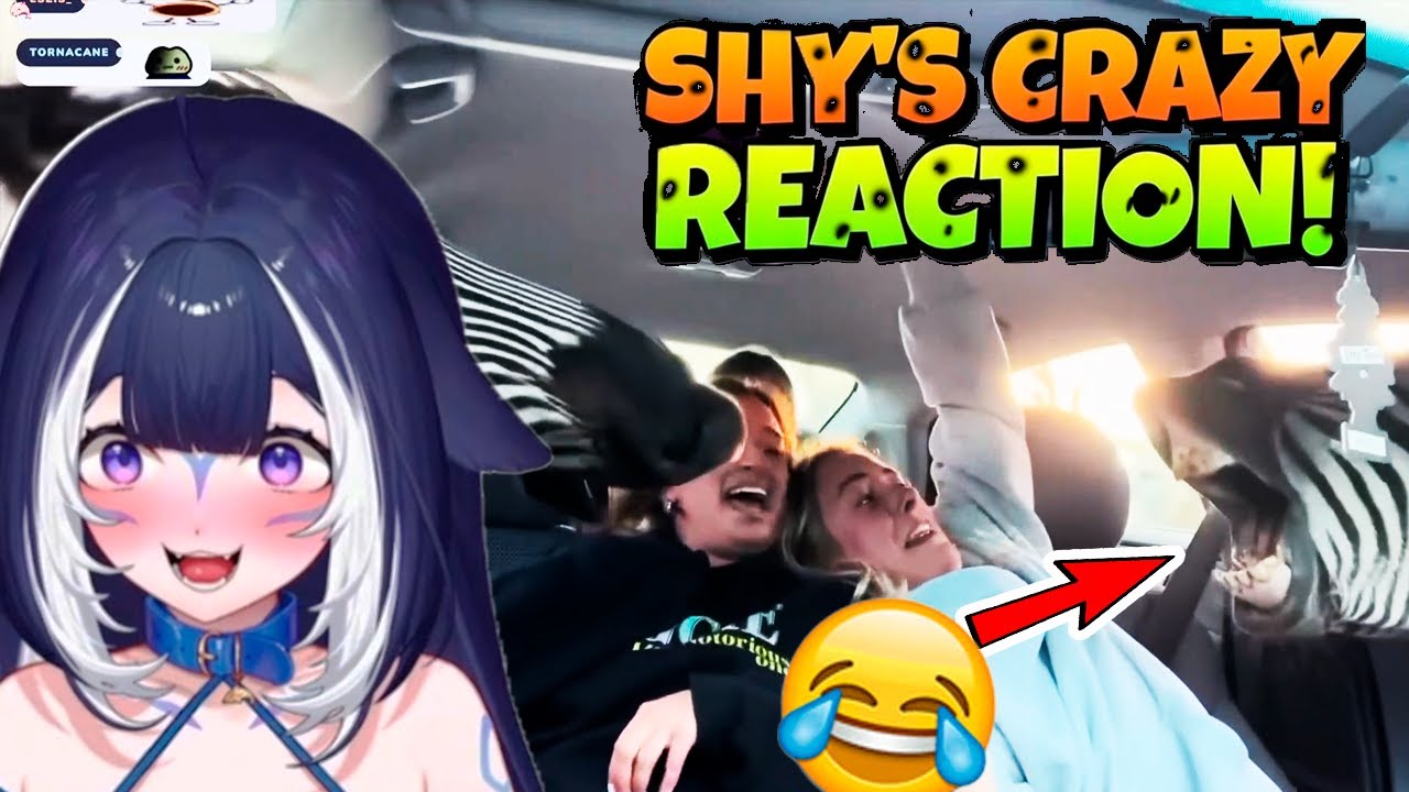 Shylily SCREAMING at the Internet's Strangest Clips - YouTube