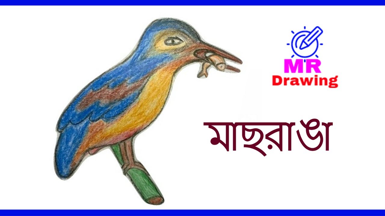 How to Draw A Kingfisher Step by Step || Very easy - YouTube