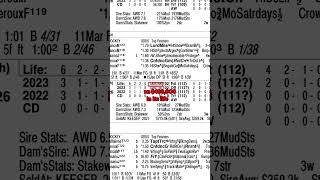 US Read A Race Form Fast Part 3 Basic Horse Info Horse Name Search Mp3 & Mp4 Download - clip ...