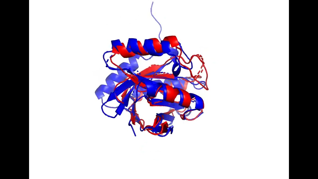 Pymol_align 6fju vs 5ld9 - YouTube