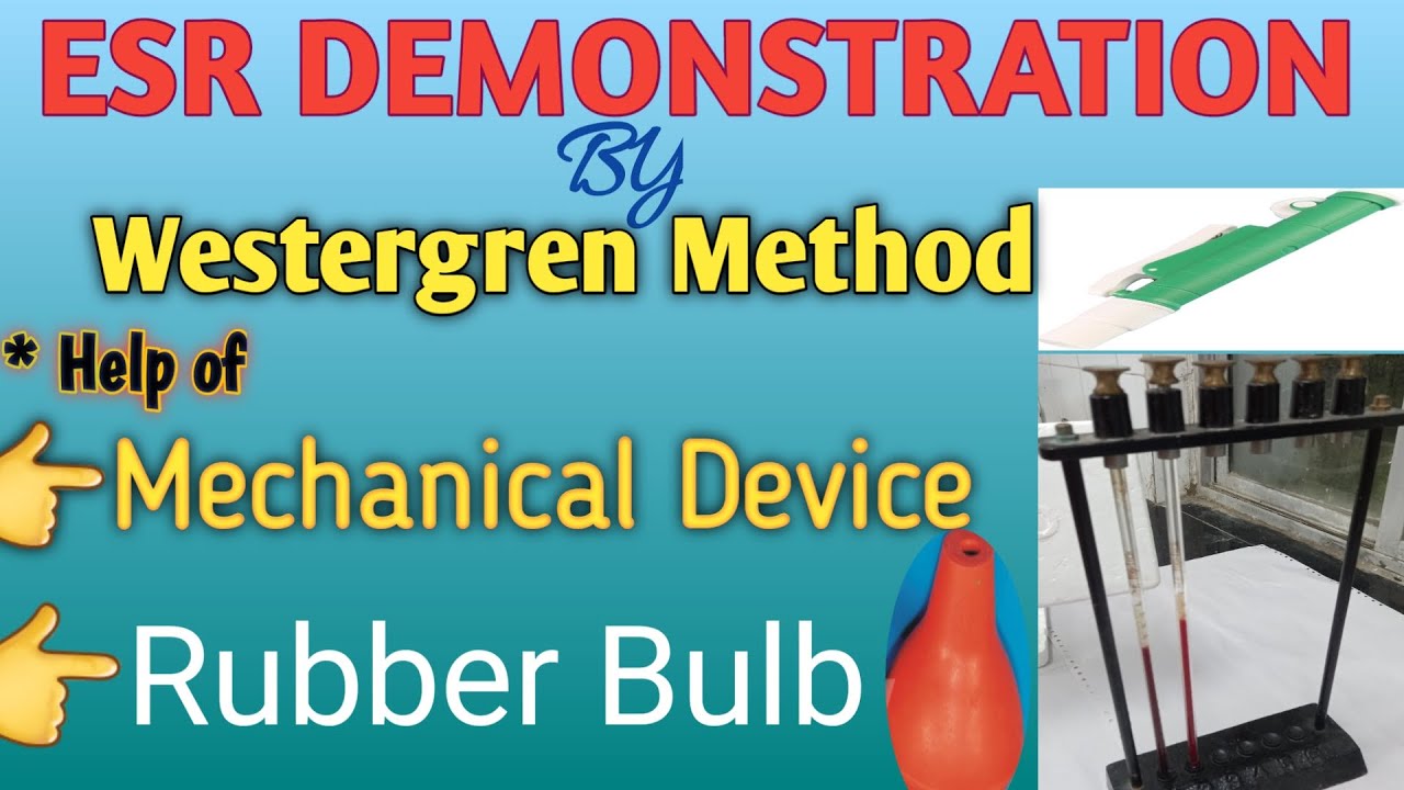 "How to Demonstration ESR Test Using Westergren Method | Step-by-Step ...