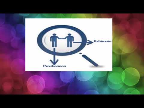 Hormonlar Şarkısı