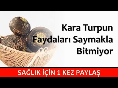 Kara Turpun Faydaları Saymakla Bitmiyor