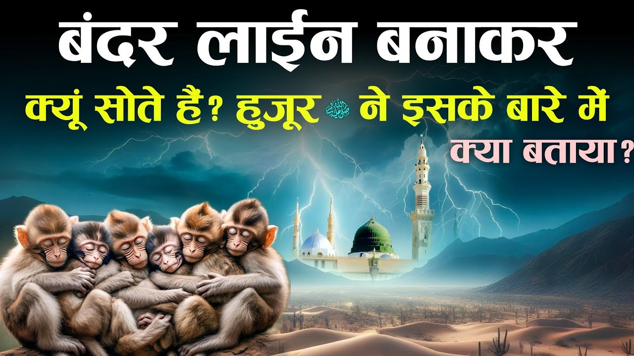 Why do monkeys sleep in a line? What did मुहम्मद ﷺ say about it? Facts ...