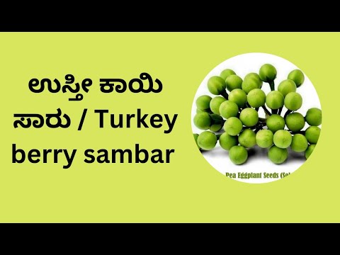 ಉಸ್ತೀ ಕಾಯಿ/ಸುಂಡೇ ಕಾಯಿ ಸಾರು | Turkey berry Sambar in kannada #subscribe ...