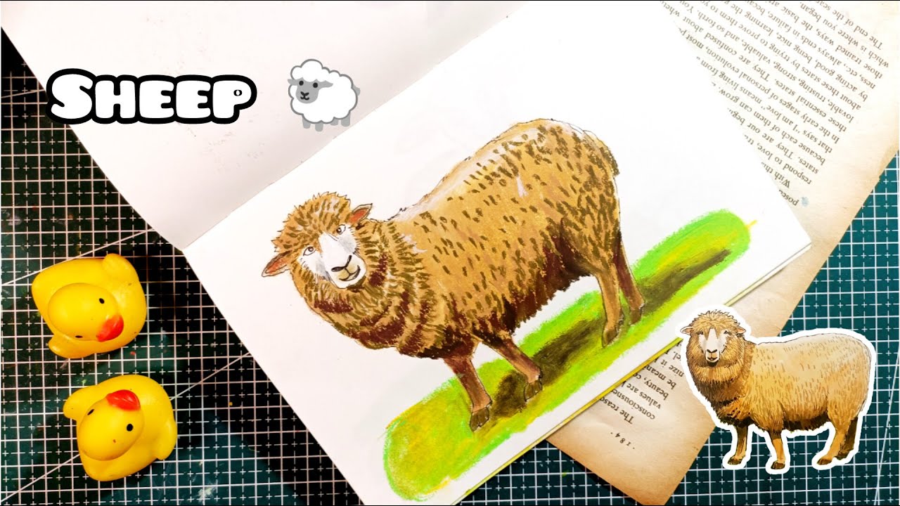 How to draw a Sheep 🐑 oil Pastel from I can draw farm animals by Terry ...