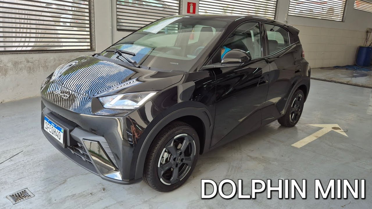 Dolphin Mini pode ser bom para PCD? - YouTube