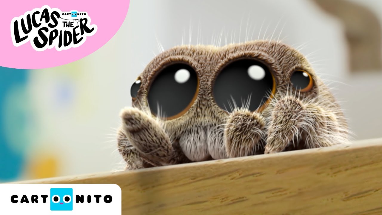 Lucas, a Aranha | Como escrever uma canção | Cartoonito - YouTube