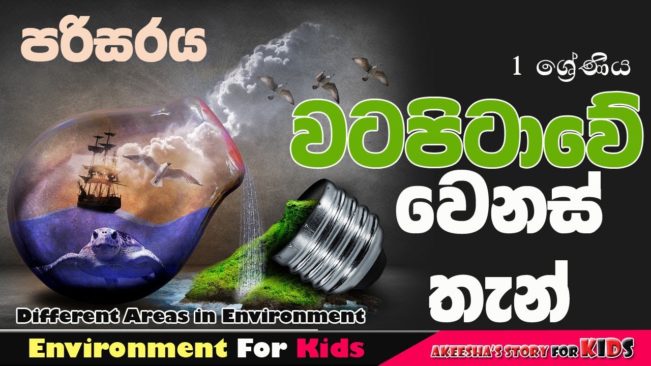 වටපිටාවේ වෙනස් තැන්|පරිසරය 1-2 ශ්‍රේණි|1-2 Wasara Parisaraya|Grade 1-2 ...