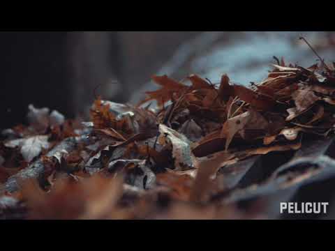 Rain world #rain #music #instagram #relaxing #tiktok #relaxmusic #video #edit #usa #maldives