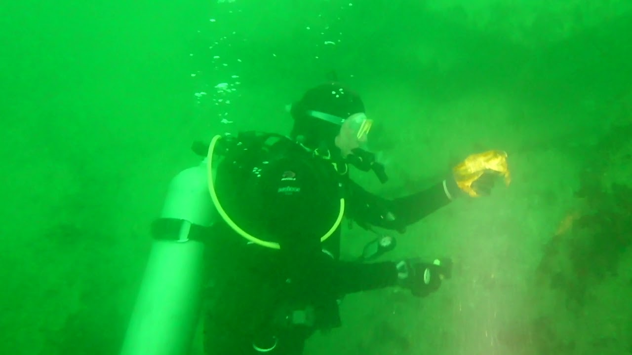 17 NOV 19 Les Davis Dive Video 2/7 - YouTube