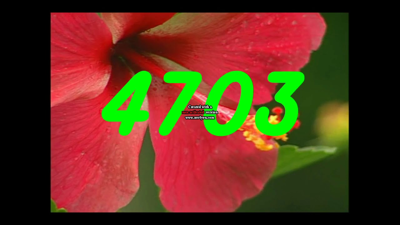 Numbers 1 To 8000 YouTube numbers-1-to-8000-youtube