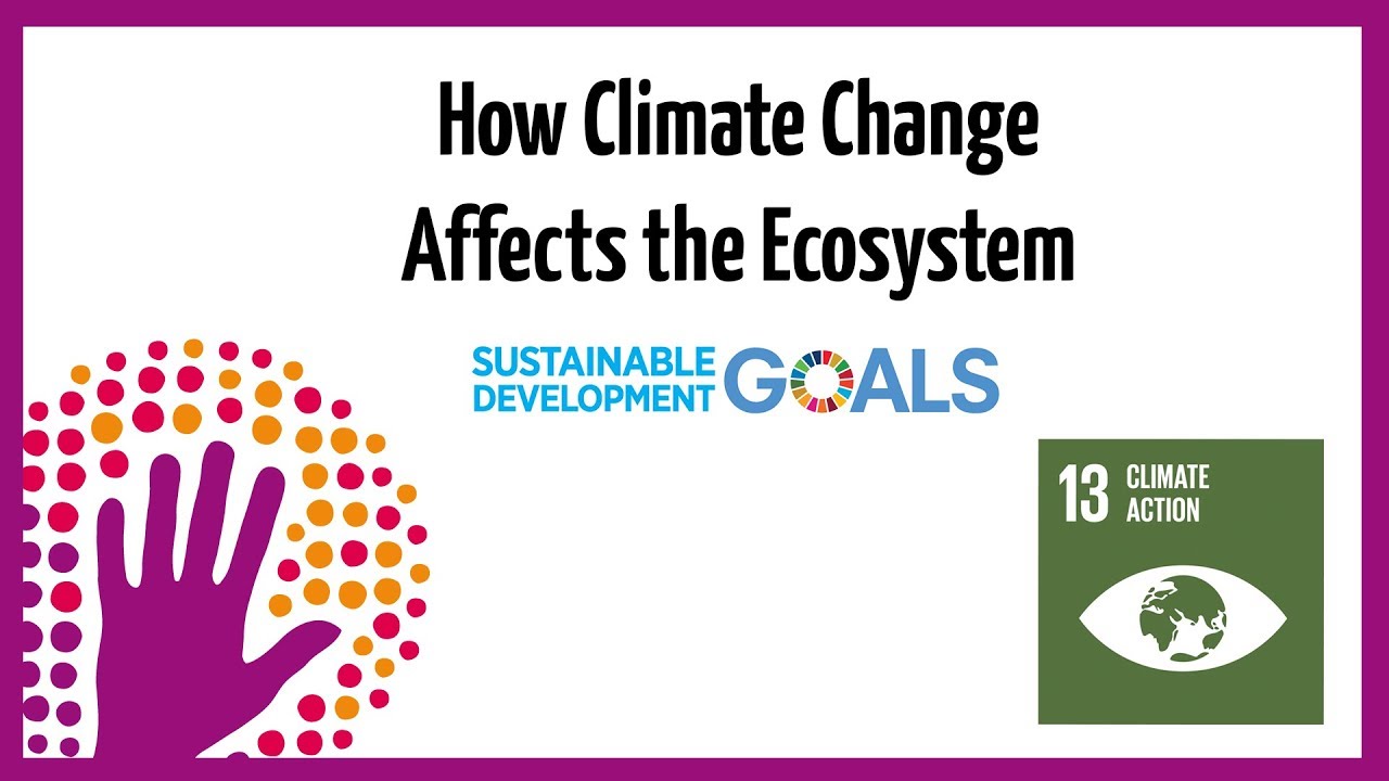 How Climate Change Affects The Ecosystem YouTube how-climate-change-affects-the-ecosystem-youtube