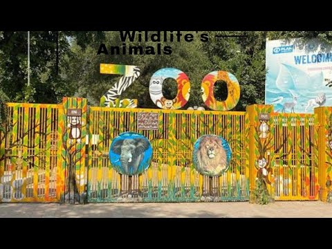 Islamabad Murghzar (zoo) - YouTube