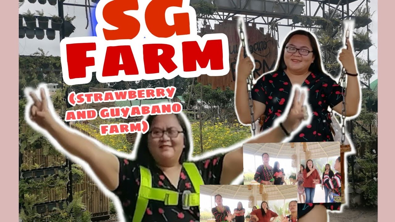 SG Farm | Strawberry and Guyabano farm | Kablon, Tupi , South Cotabato ...