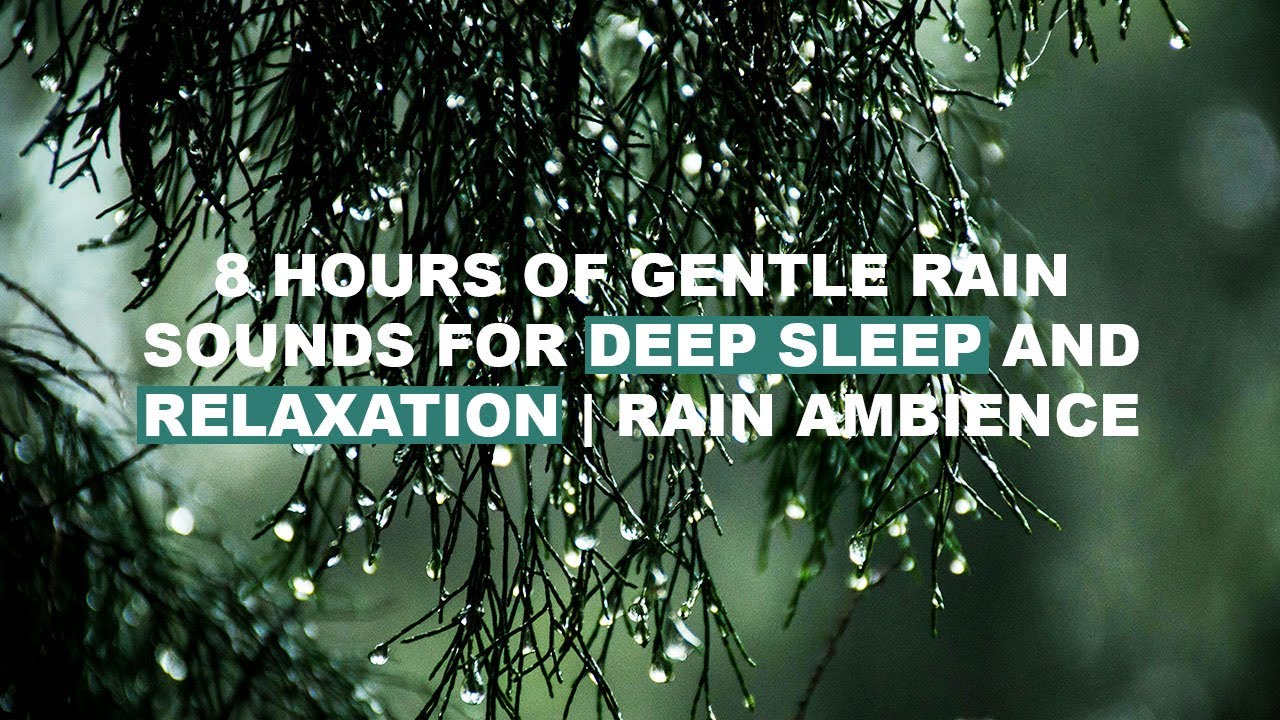 8 Hours of Gentle Rain Sounds for Deep Sleep and Relaxation | Rain ...