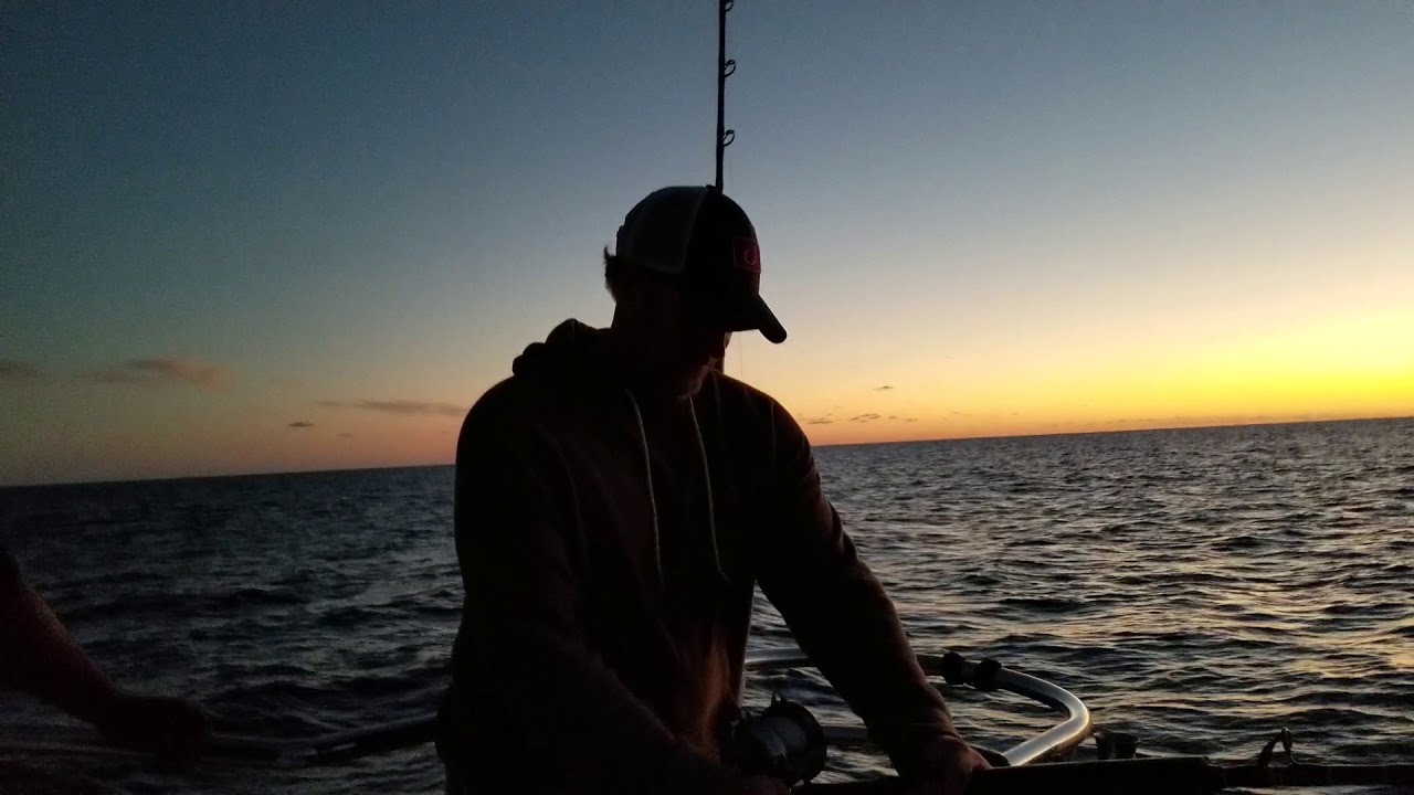 Marla IV, Jan 2019, Michael Maroni's 200 pound yellowfin - YouTube